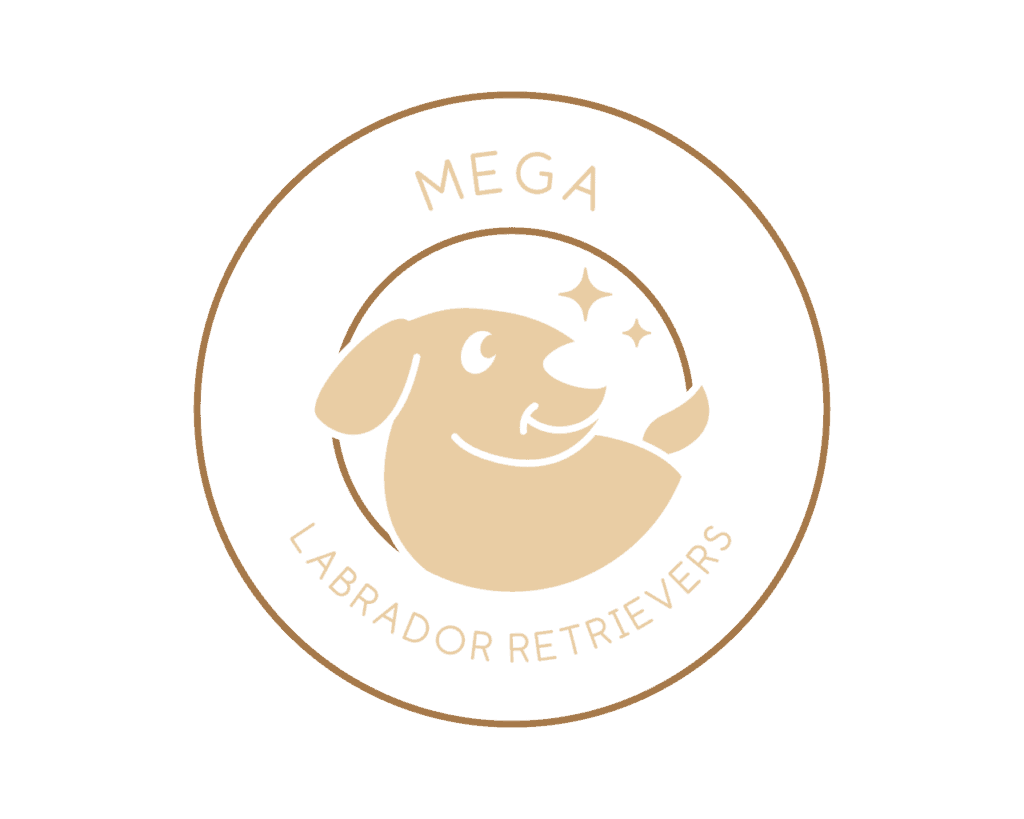 Labradors UK | Labrador Puppies for Sale UK | Ethical Lab Breeder